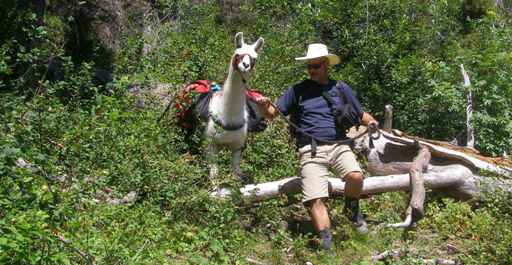 Pack Llama Trail Assoc.: Supporting the Working Llama